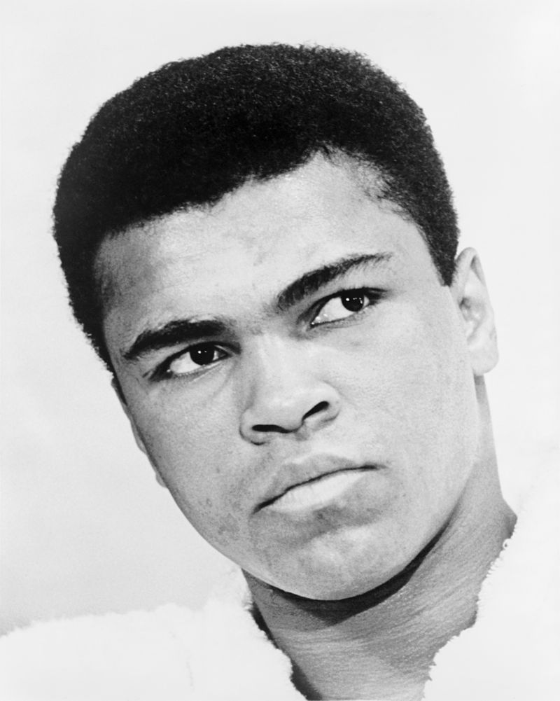 Les 10 meilleurs boxeurs de l'histoire | Top 10 Boxe