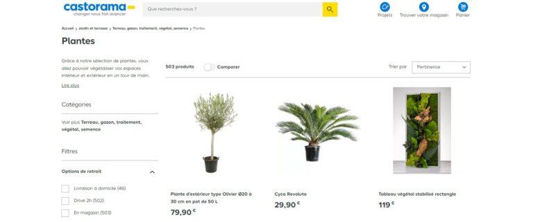 Les 10 meilleures jardineries en ligne - 2024